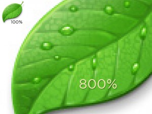 What Are Raster Images?